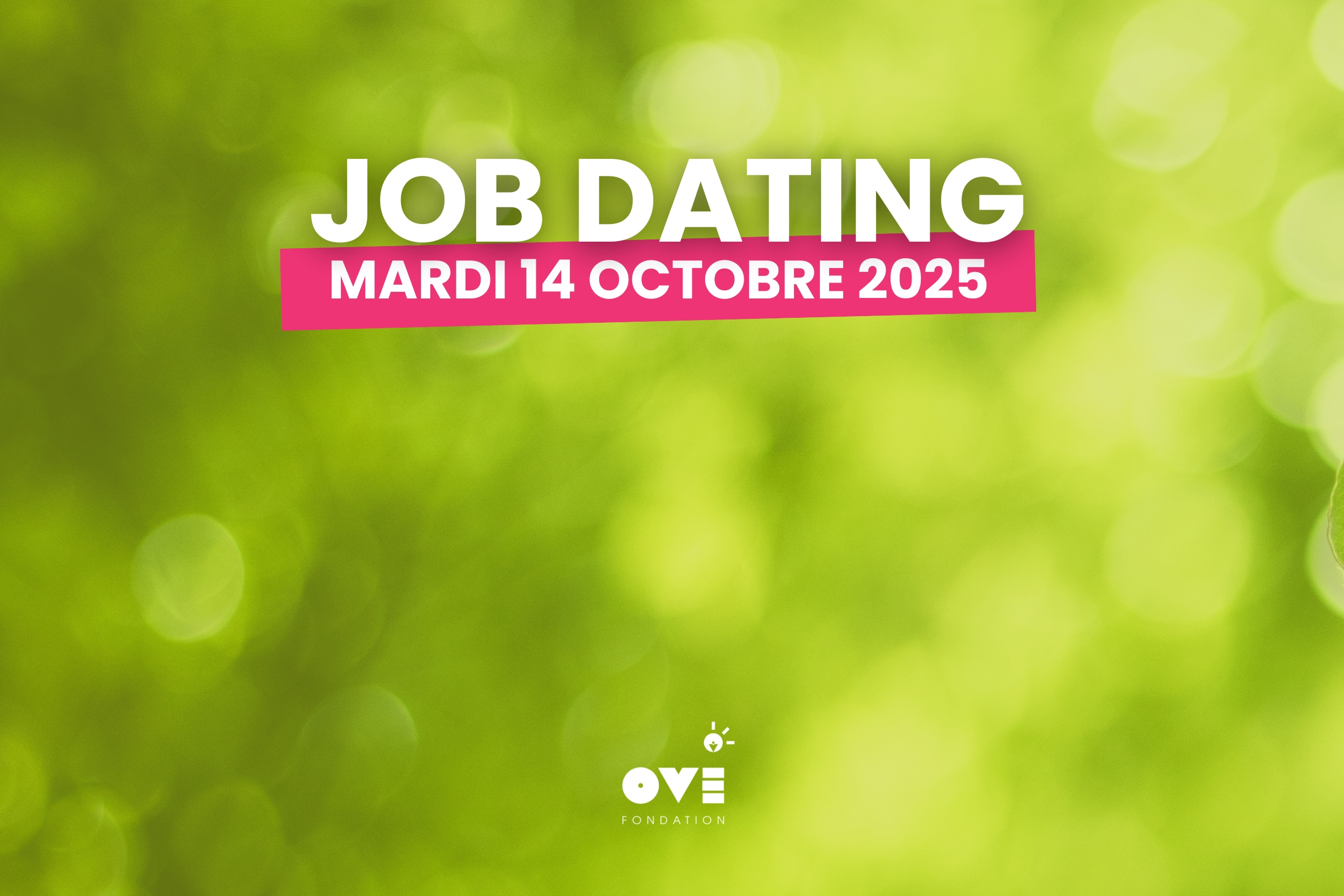 Job dating Fondation OVE le 14 octobre à Paris 18ème - Fondation OVE